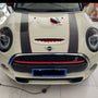 BMW Mini Cooper Eyelid Decals