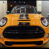 BMW Mini Cooper Eyelid Decals