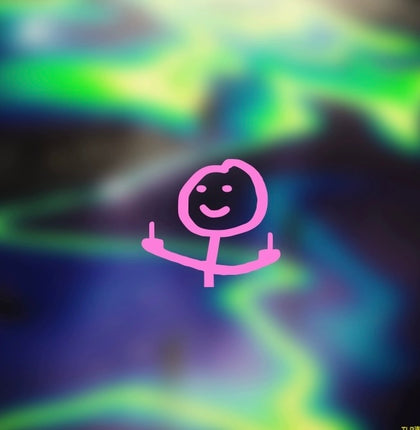 Funny Car Decal Middle finger reflective sticker